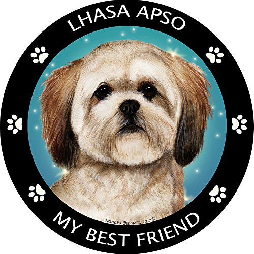 Discover the Top 10 Must-Have Products for Your Lhasa Apso Chihuahua ...