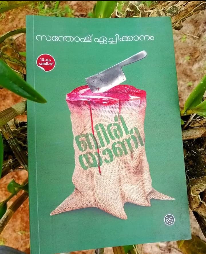 Buy BIRIYANI Book Online at Low Prices in India | BIRIYANI Reviews ...