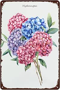 Amazon.com: Hydrangea Floral Bouquet Metal Signs Vintage Funny Tin Sign ...