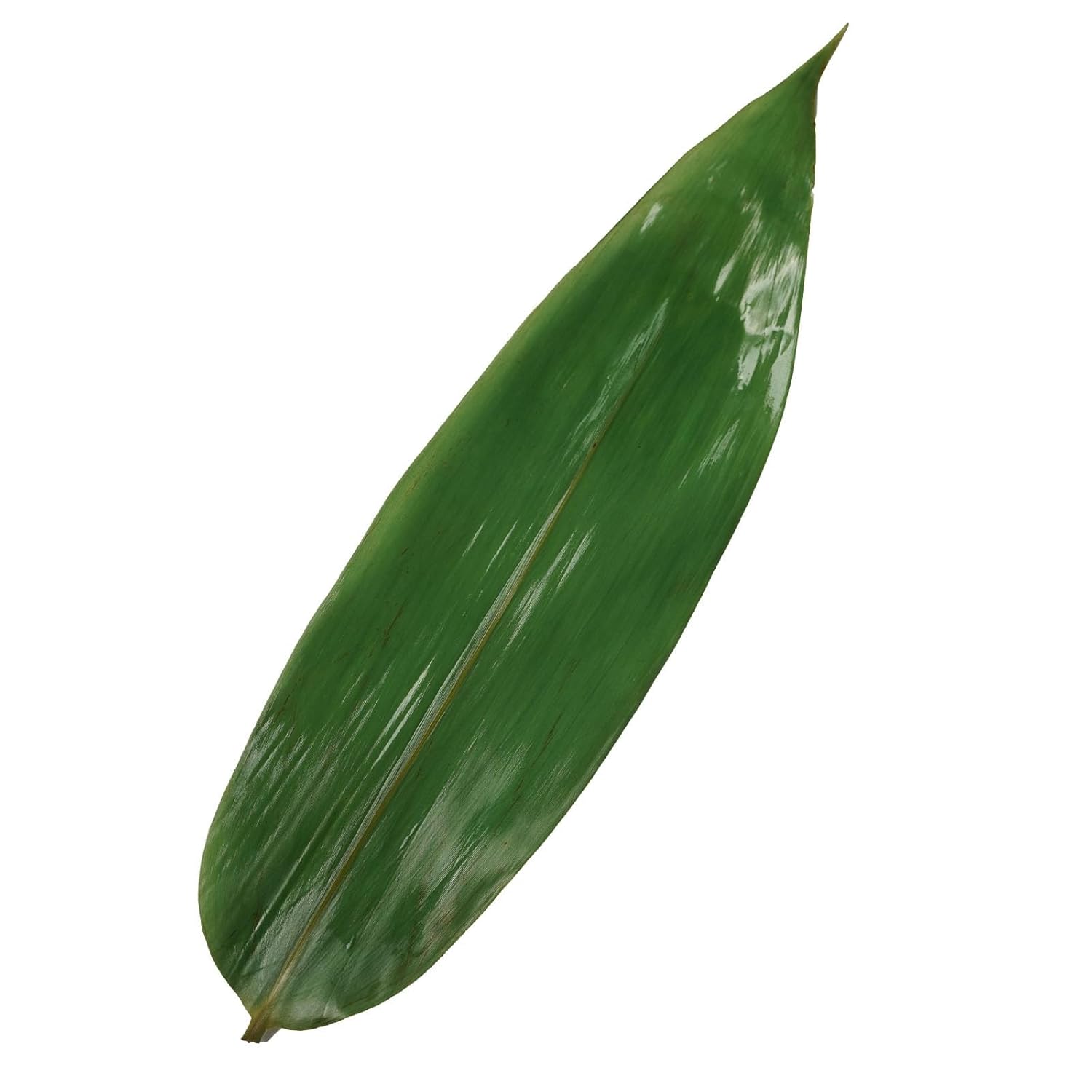 Amazon.com: Leaf Bamboo Zongzi Leaf 200 Pcs Bamboo Leaf For Cooking ...