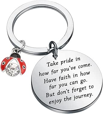 Amazon.com: FUSTMW Ladybug Pendant Keychain Ladybug Gifts Jewelry ...