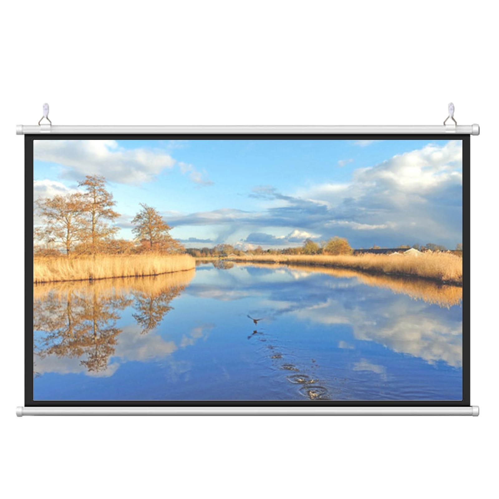 Amazon.com: Projector Screen 60 Inch 16:9/4:3 HD 4K Portable Manual ...