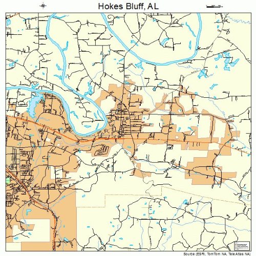 Amazon.com: Large Street & Road Map of Hokes Bluff, Alabama AL ...