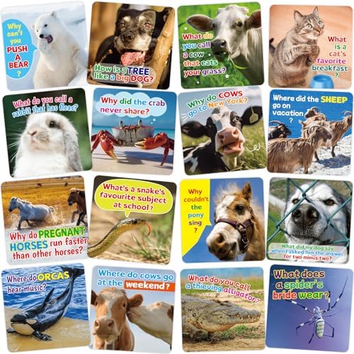 Amazon.com: 80Pcs Joke Cards for Kids Lunchbox Notes Motivational ...