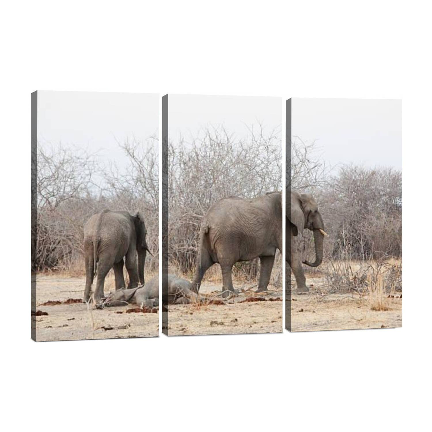Dead Elephant
