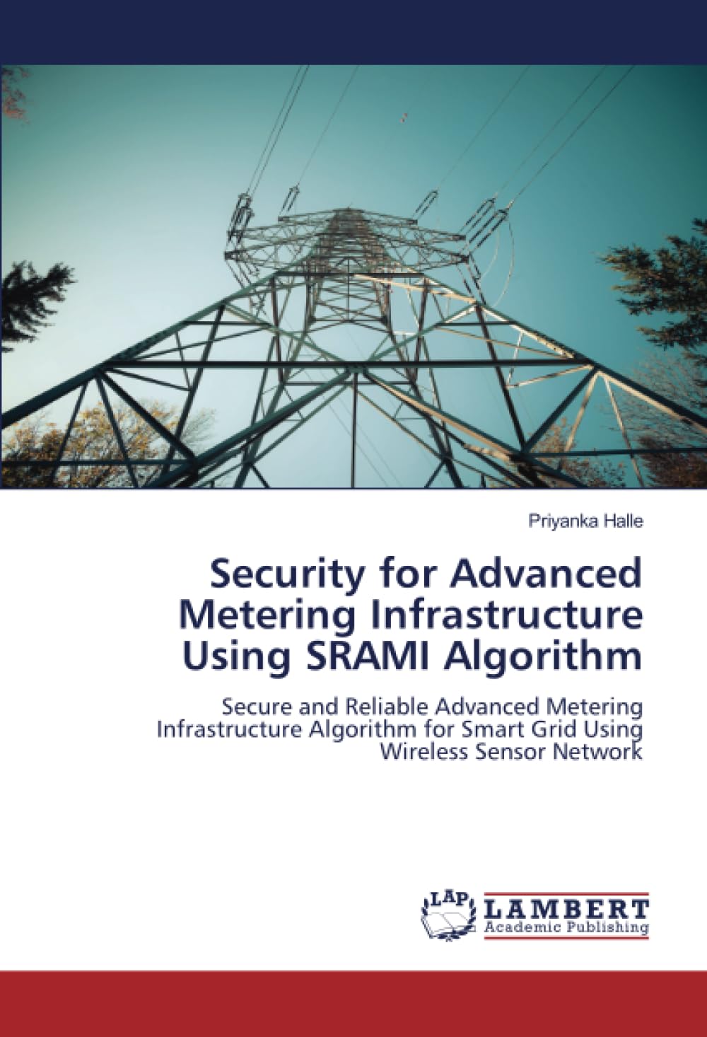 Security For Advanced Metering Infrastructure Using Srami Algorithm Secure And Reliable