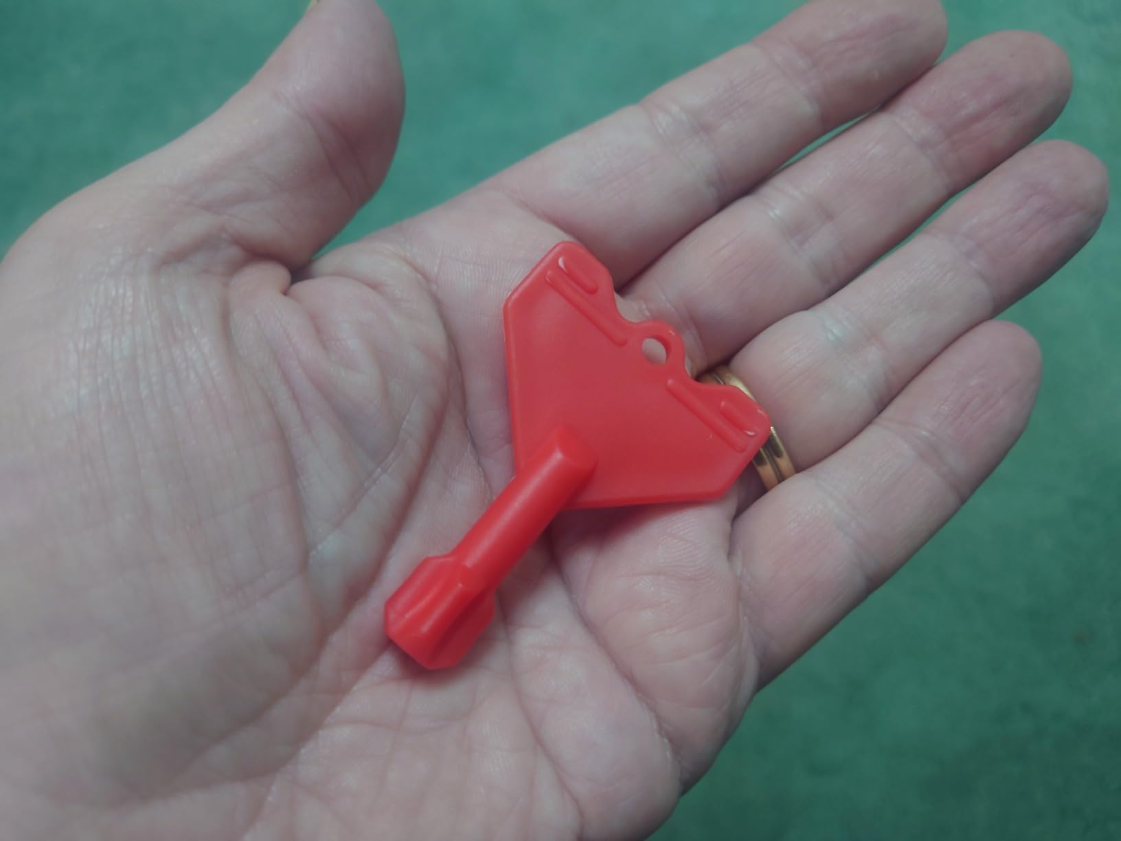 2 Compact Rodent Bait Stations - Secure Rat Trap Boxes for Both Indoor ...