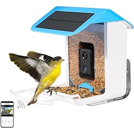 Amazon.com : BirdDock Smart Bird Feeder with Camera, HD Visual Storage ...