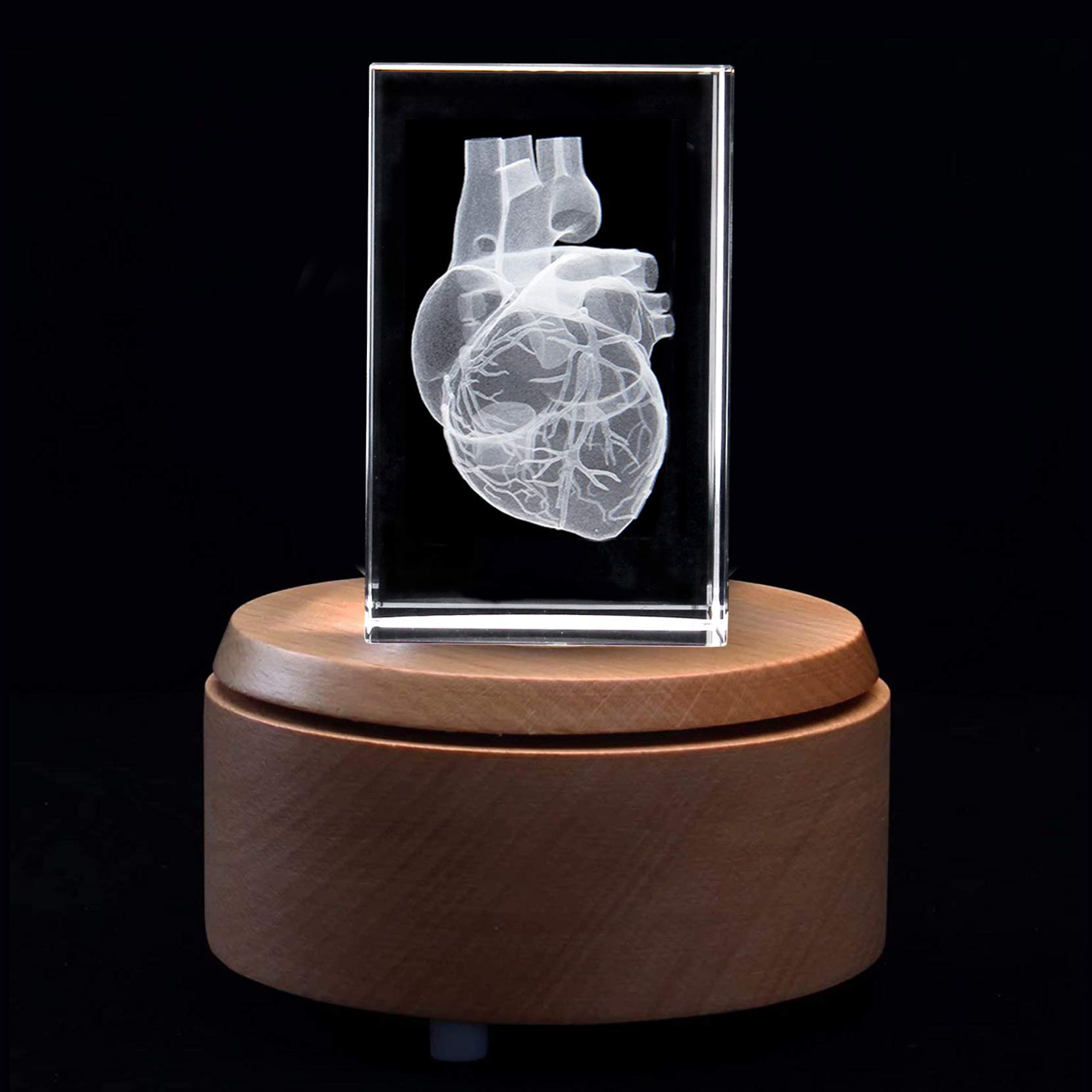 3d Human Heart Anatomical Model Paperweight Laser Etched In Crystal ...