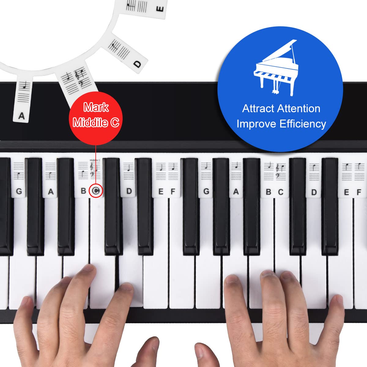 Snapklik.com : Removable Piano Keyboard Stickers Label For Beginners ...