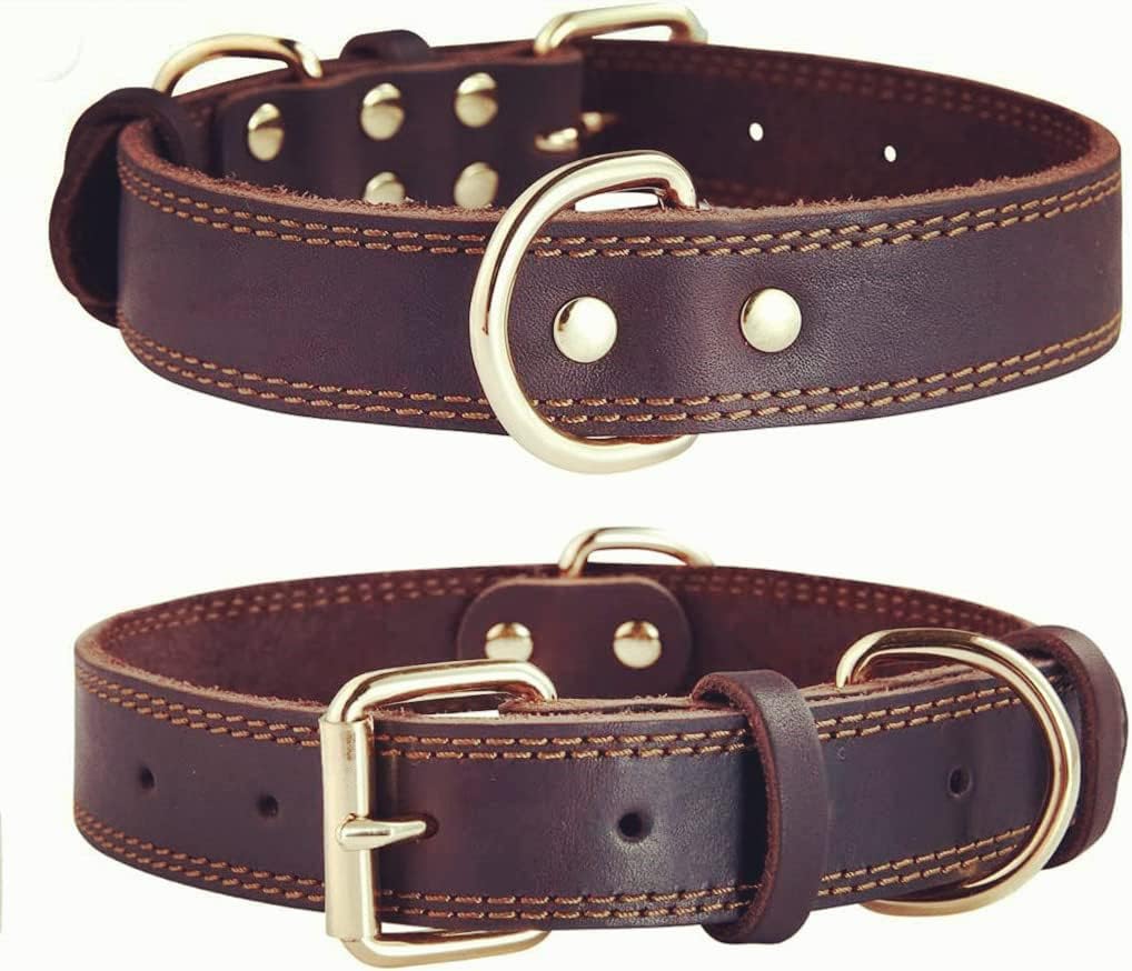 Adjustable Genuine Soft Leather Dog Collar of Padded Best for Small ...