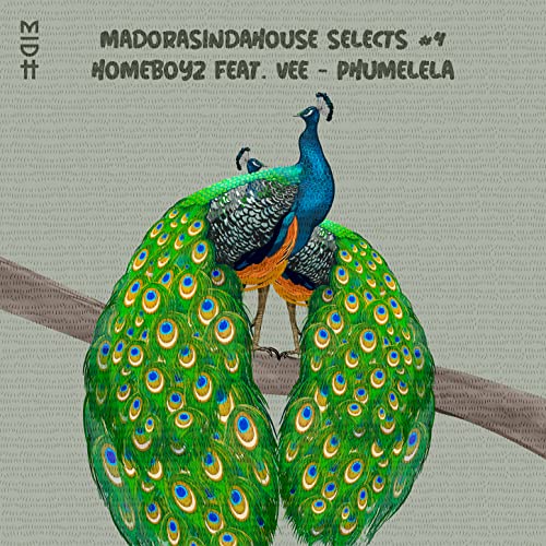 Play Phumelela by Homeboyz feat. VEE on Amazon Music