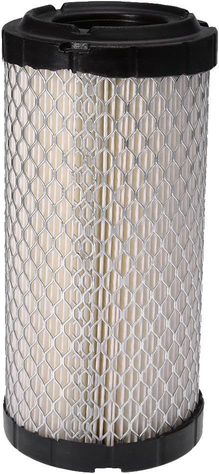 Amazon.com: 5543095 Perkins Air Filter (Update of 135326206) : Automotive