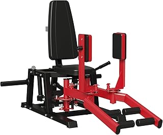 Understanding Abductor Muscles: Movements, Functions, And Key Roles In ...