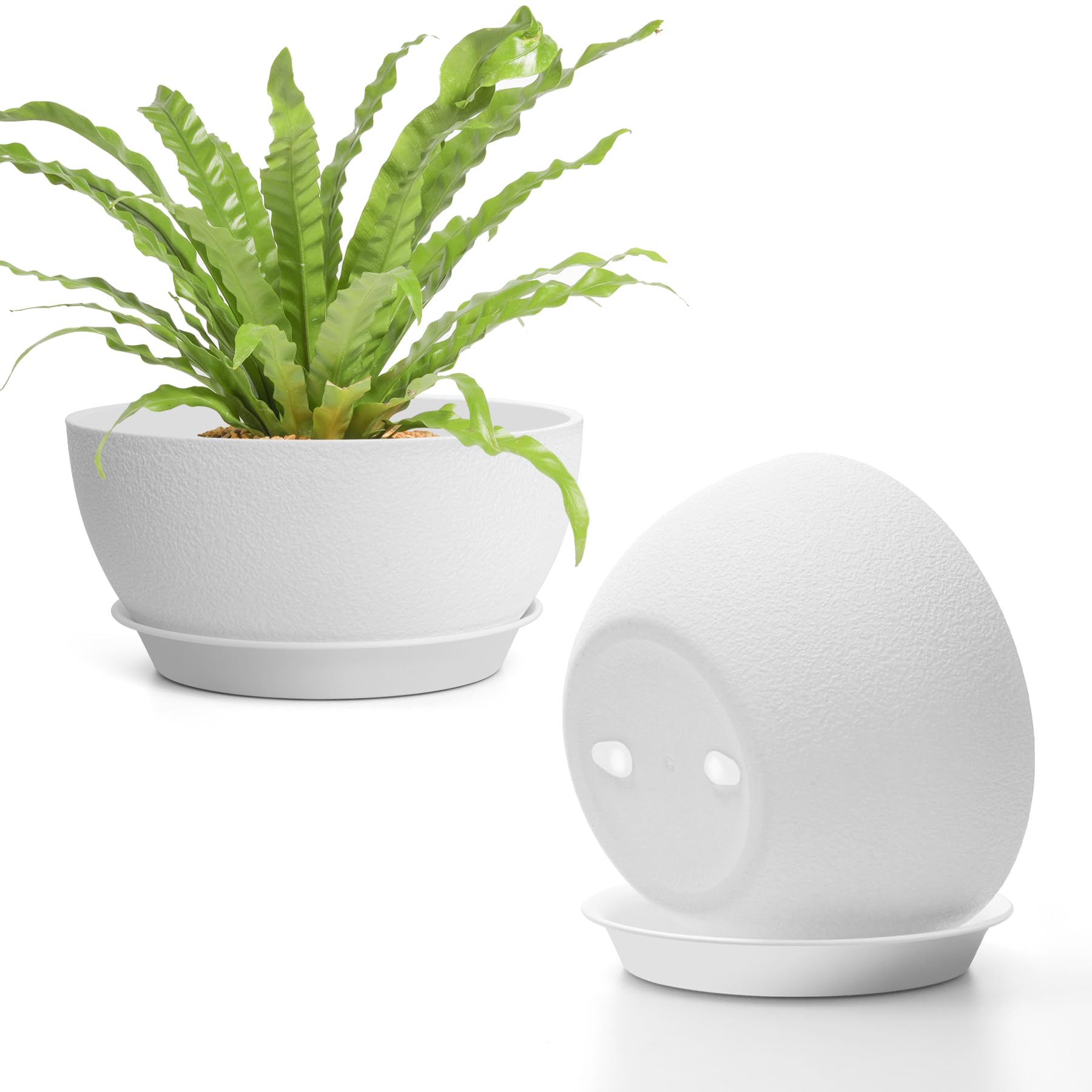 Amazon.com: T4U 8 Inch Plant Pots, Plastic Planters with Drainage Holes ...