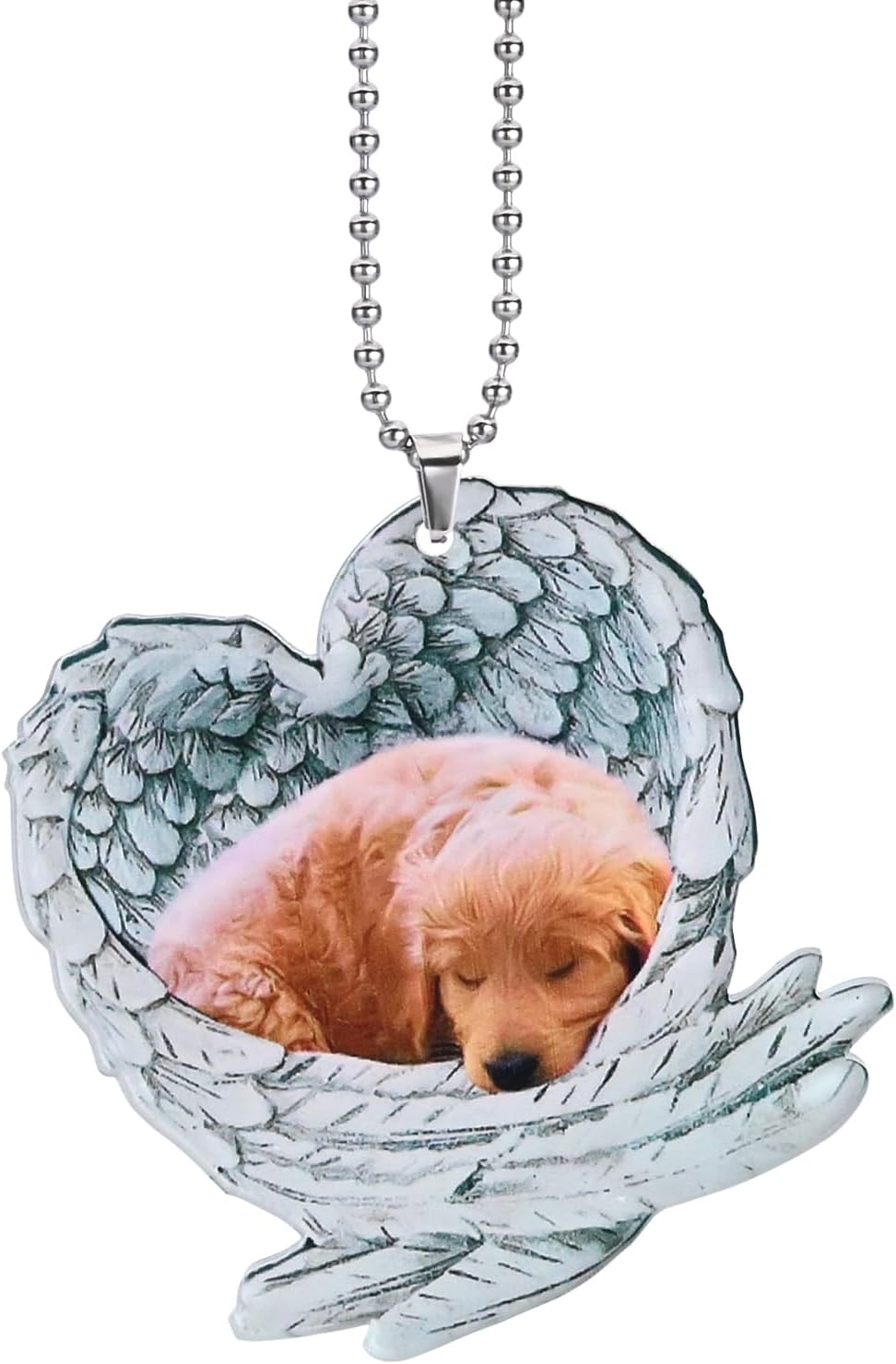 Amazon.com : ROOHOME Dog Memorial Gifts for Loss of Dog,pet Memorial ...