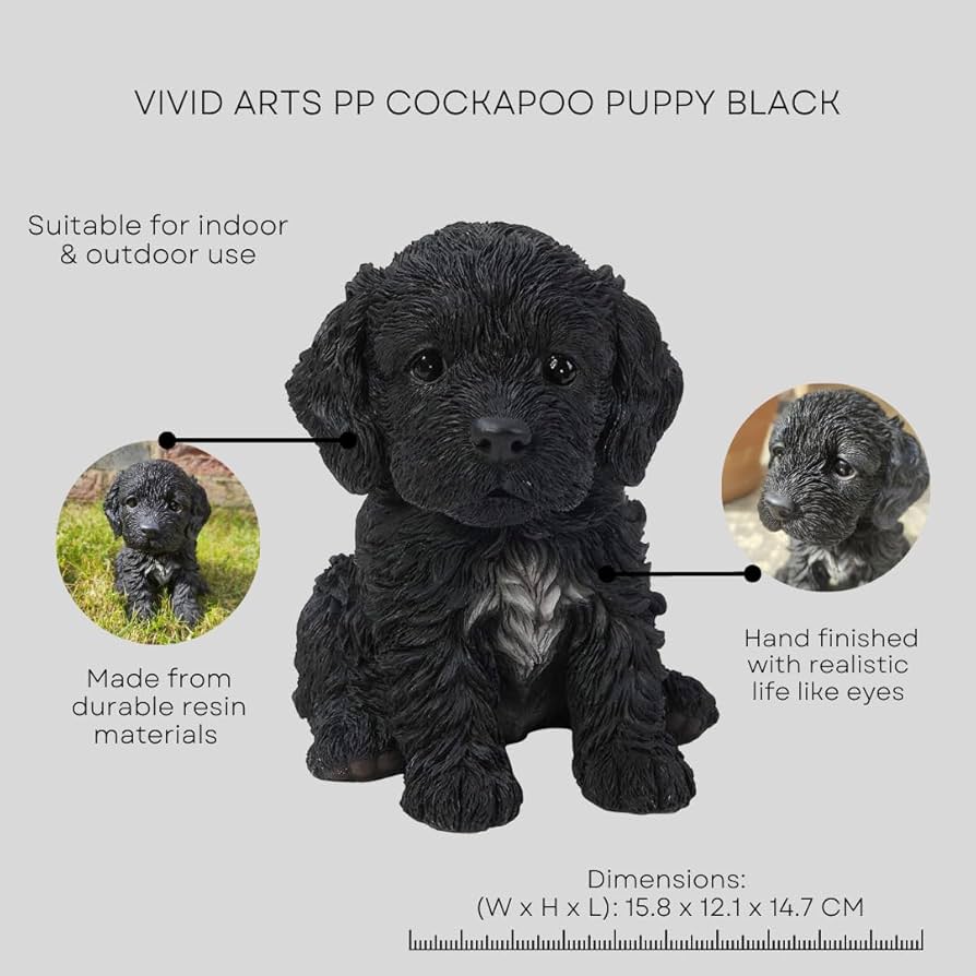Mini Cockapoo Negro