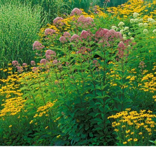 EmDenThamAnhMotChieuMua song by nhac tien chien from nhac tien chien on ...