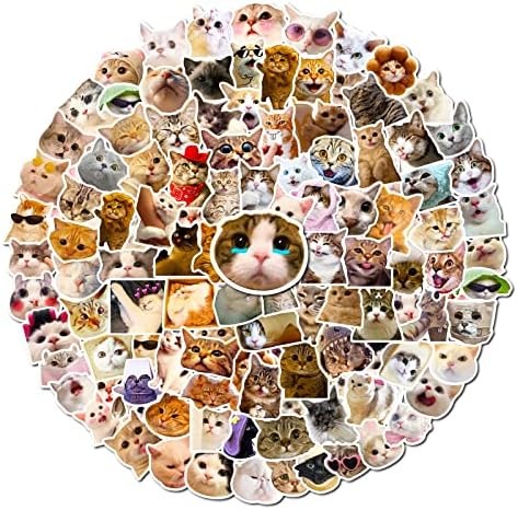 Amazon.com: DERFILIN 100PCS Cute Cat Stickers Pack, Kids Birthday Gift ...