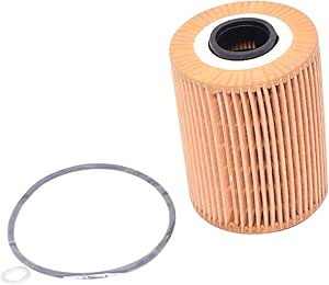 Amazon.com: Bapmic 11427833769 Engine Oil Filter for BMW E36 E46 E85 ...