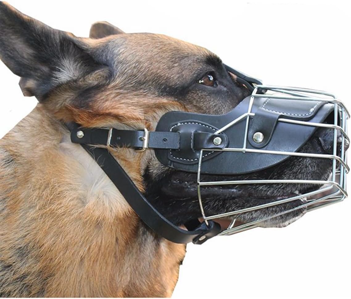 Amazon.com : Dog Muzzle for Large Dogs, Pitbull Muzzle Metal Mask for ...
