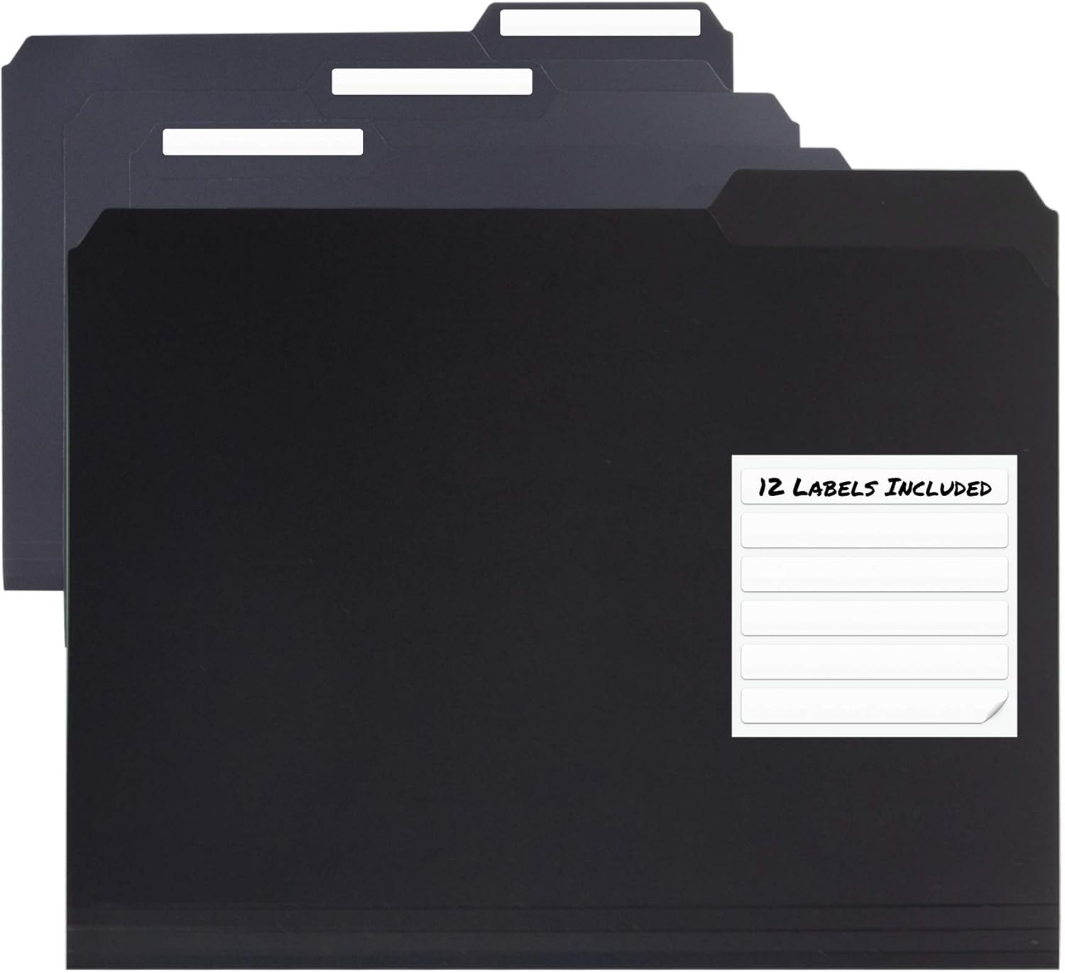 Amazon.com : Dunwell Plastic Black File Folders - 1/3 Cut Tab (12 Pack ...