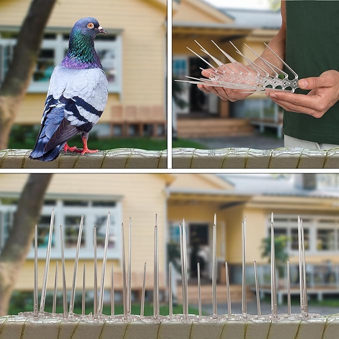 Bird Control Spikes, Weather Resistant Polycarbonate, Transparent, 12 x ...