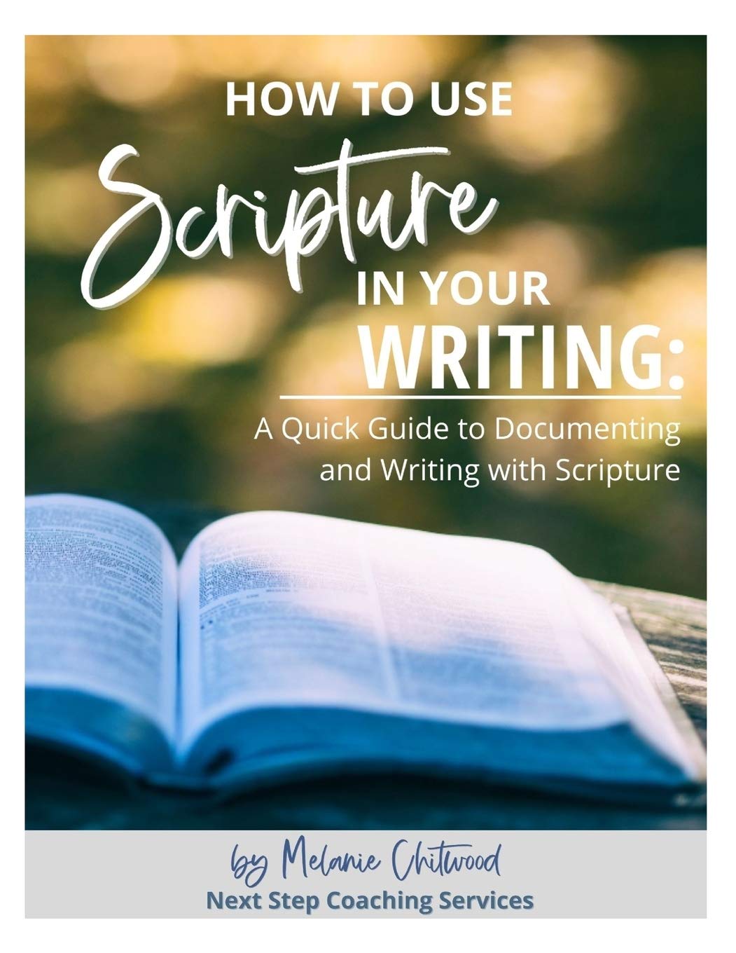 Buy How to Use Scripture in Your Writing:: A Quick Guide to Documenting ...