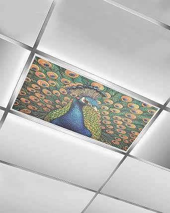 Fluorescent Light Covers Peacock Magnetic Light Filters Peacock Feather ...