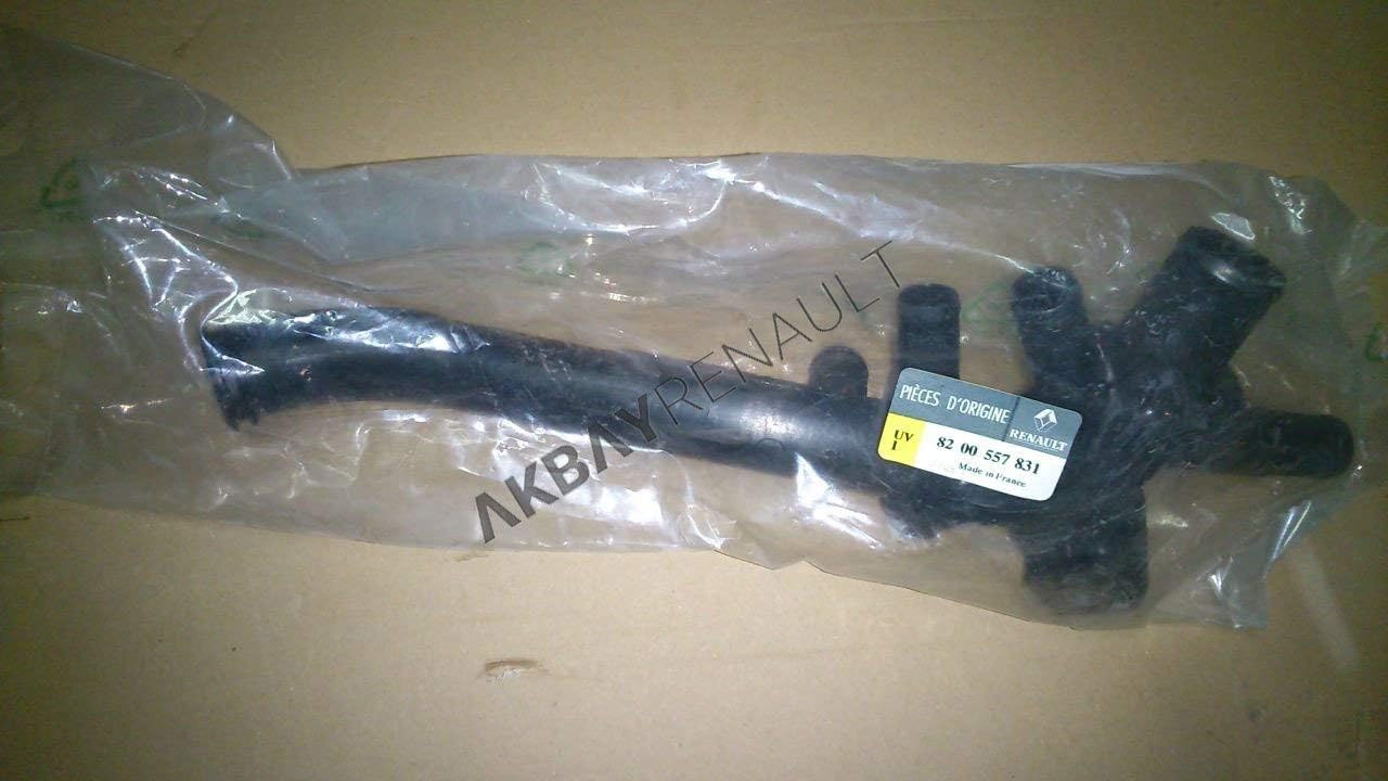 Amazon.com: 8200557831 冷卻液管 雷諾 MAIS 原裝 CLIO-KNG-MGN II-LOGAN-SANDERO 1 ...