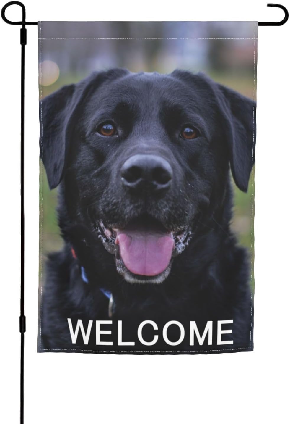 Amazon.com : Black Labrador - Best of Breed Butterfly Garden Flag ...