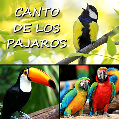 Play Canto de los Pajaros by Canto De Los Pajaros on Amazon Music Unlimited
