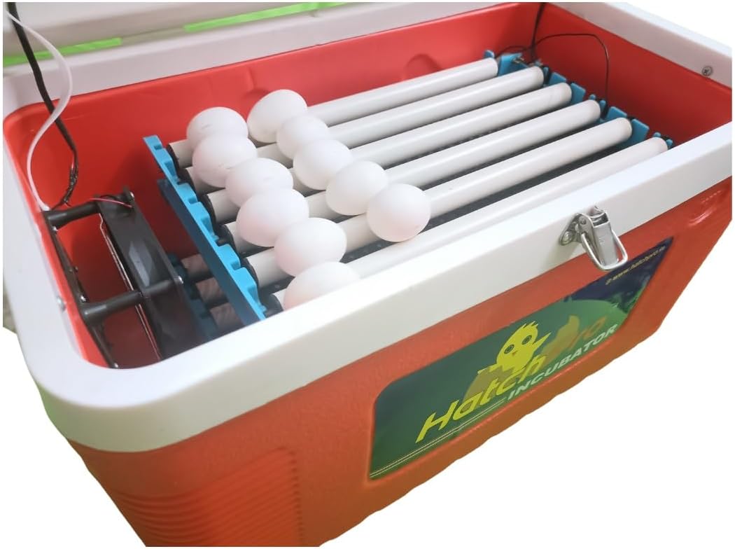 Ndeal Full Automatic Egg Incubator | Hatcher 48 Eggs All-in-One ...