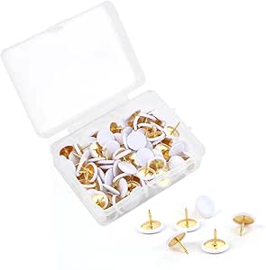 100 Pcs White Drawing Pins, Round Head Drawing Pins for Walls ...