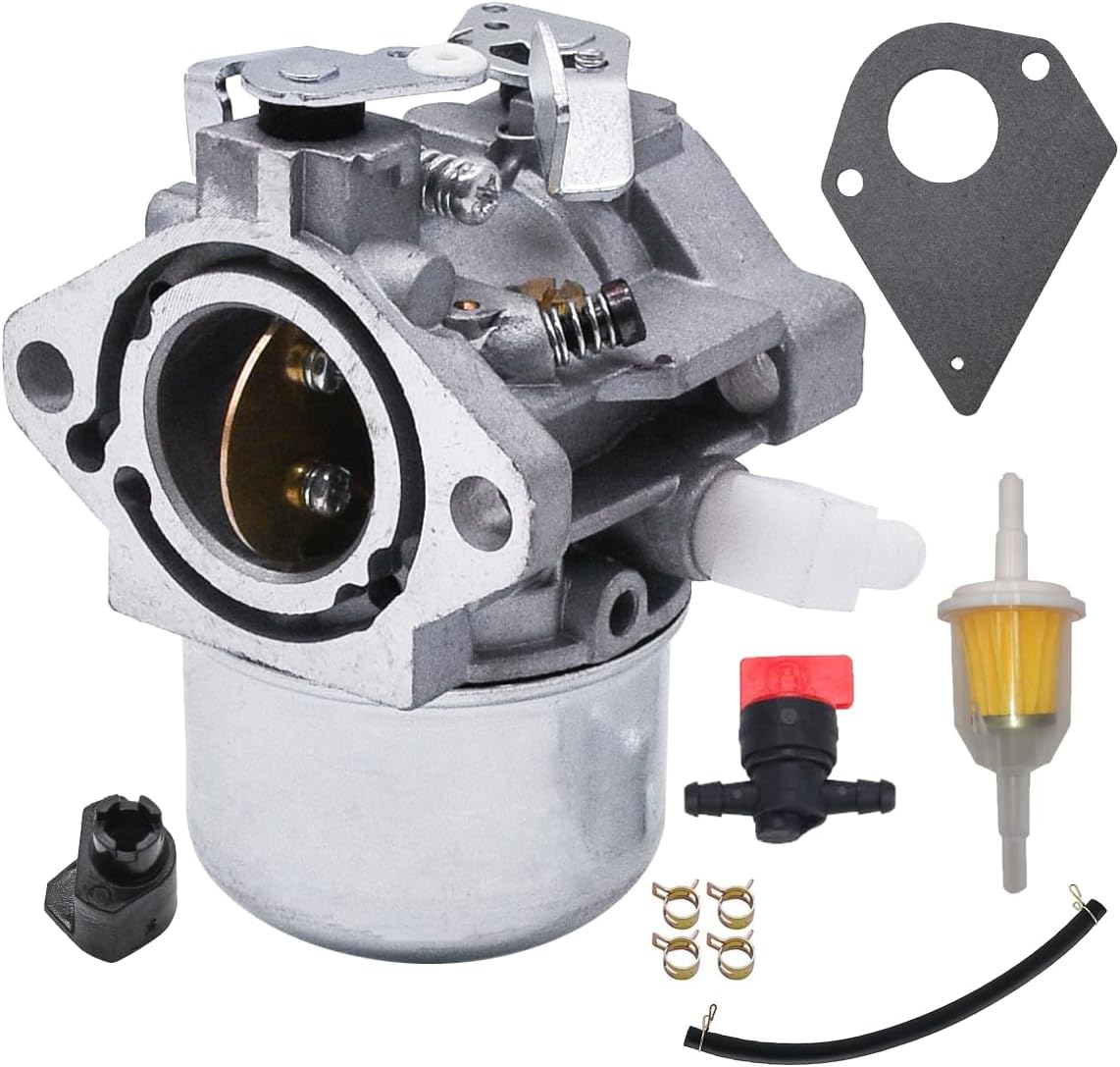 Amazon.com: Rebuiman 494881 Carburetor Fit for 194702 195707 176432 ...