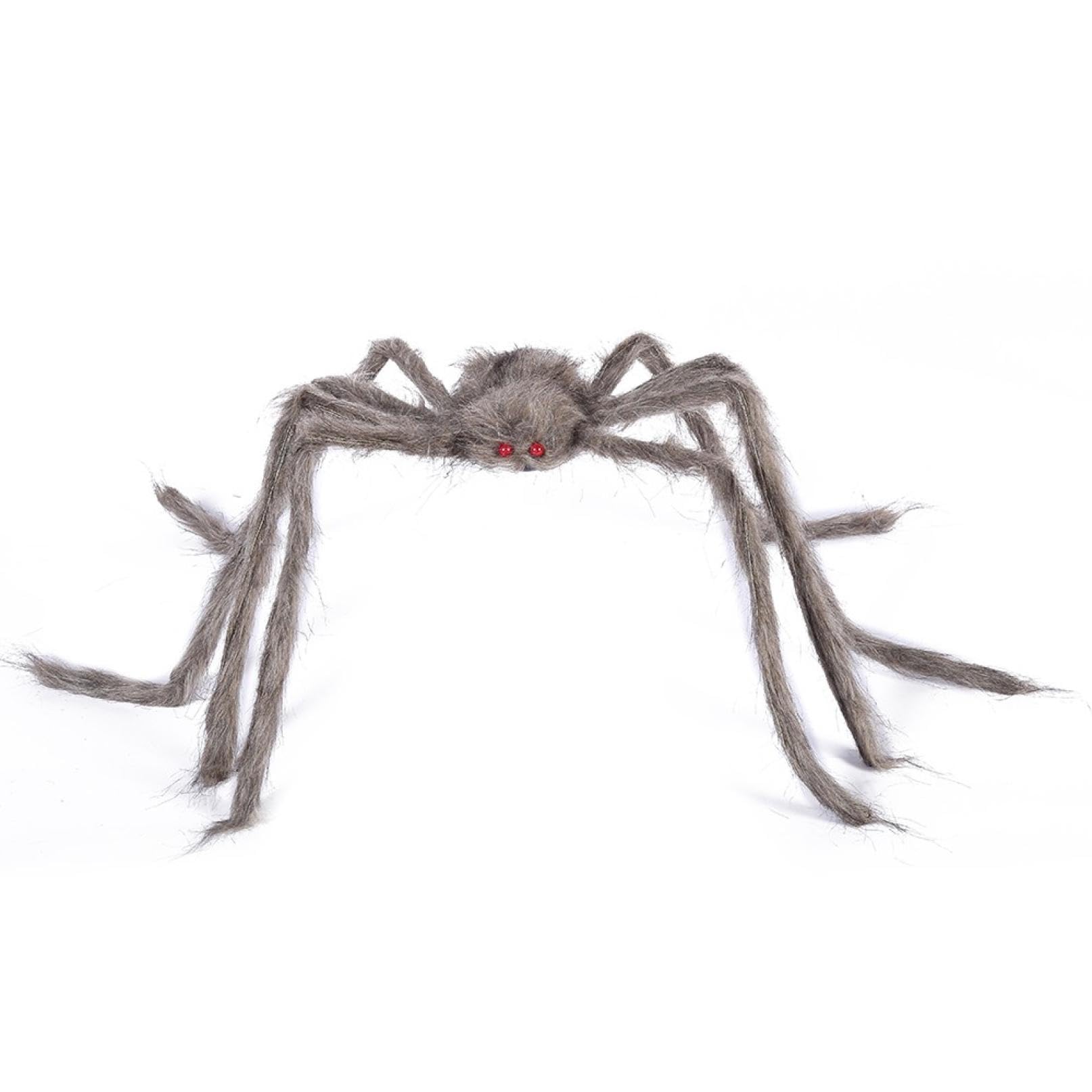 Super Scary Spiders