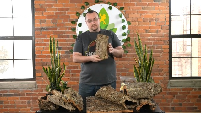 Watch All About Cork Tubes, Flats, Planters, Bits, and Backgrounds on ...