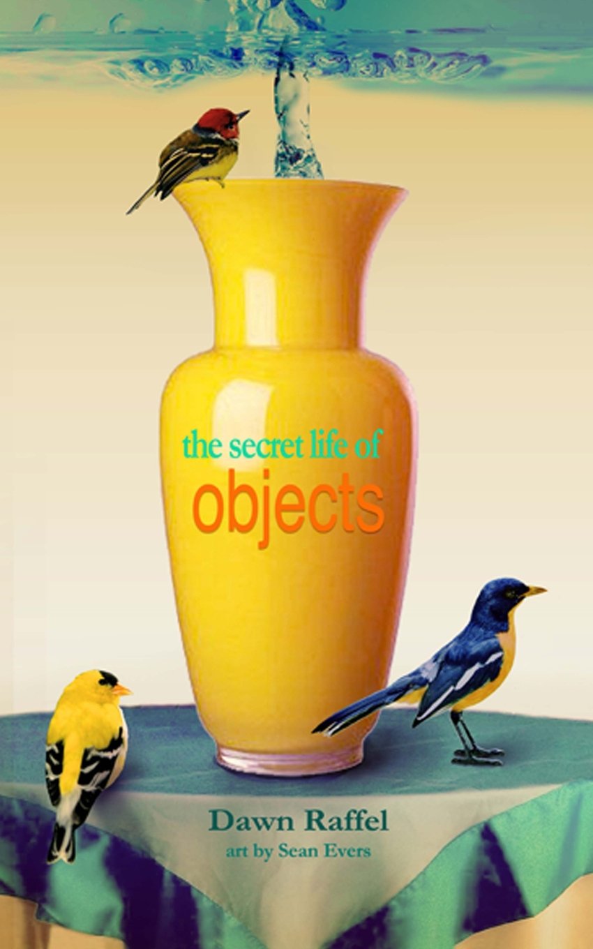 Amazon.com: The Secret Life of Objects: 9781937543037: Raffel, Dawn ...