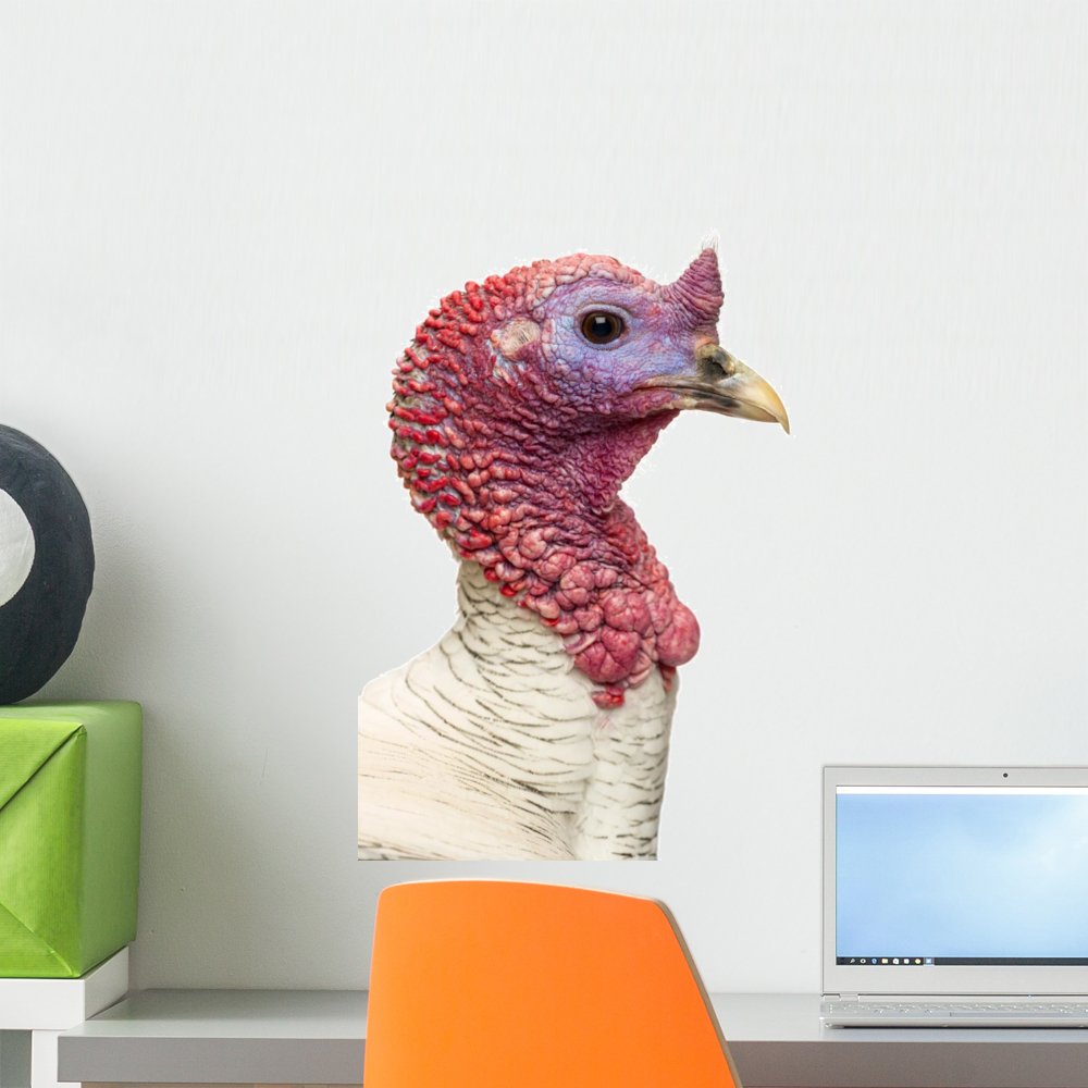 Turkey Wall Decals