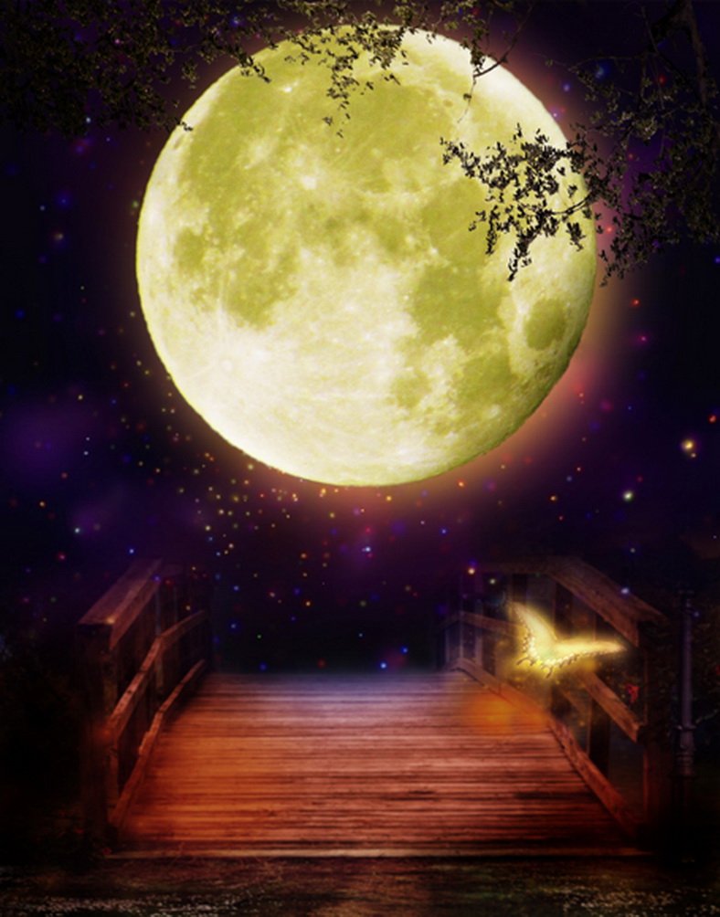 Romantic Moonlight Background
