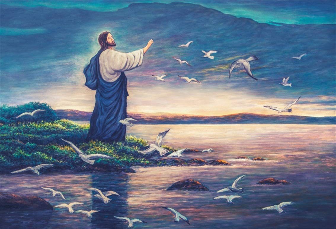 Bird Jesus