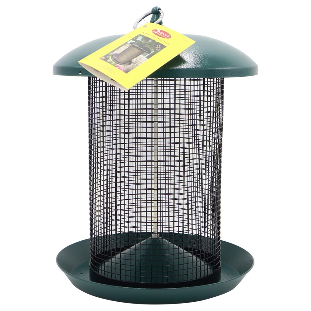 Amazon.com : Zenport Z203010 Hanging Bird Seed Screen Feeder : Wild ...