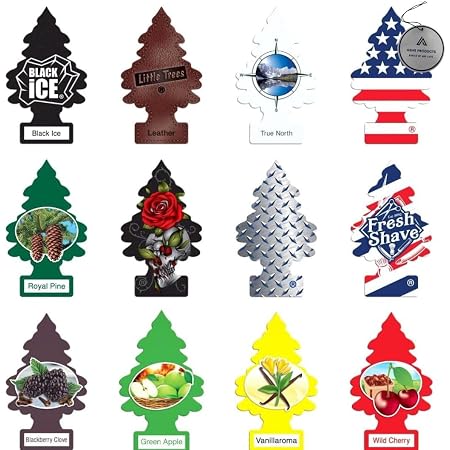 Amazon.com: Little Trees Masculine Scent Pack of 12 Freshener - 12 ...