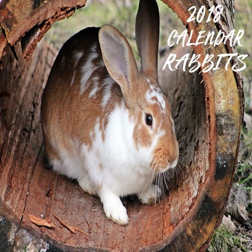2018 Calendar Rabbits: 2018 Wall Calendar Rabbits Bunnies Mini 8.5 x 8. ...