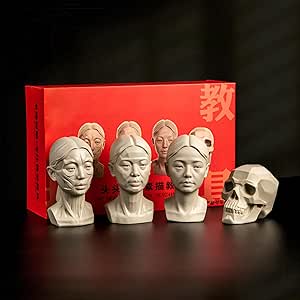 Amazon.com: 4Pack Standard Planar Head, Model for Artists Learn Planes ...