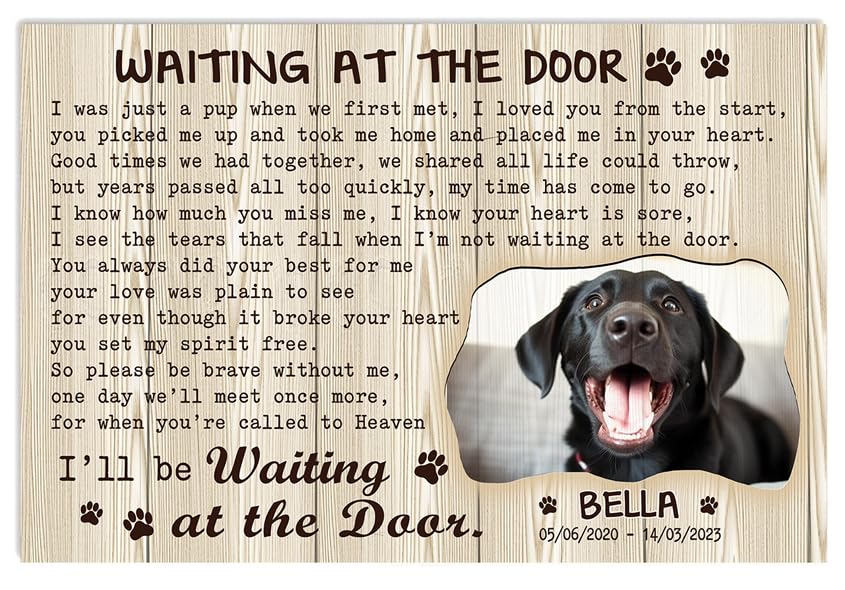 Dog Funeral Quotes