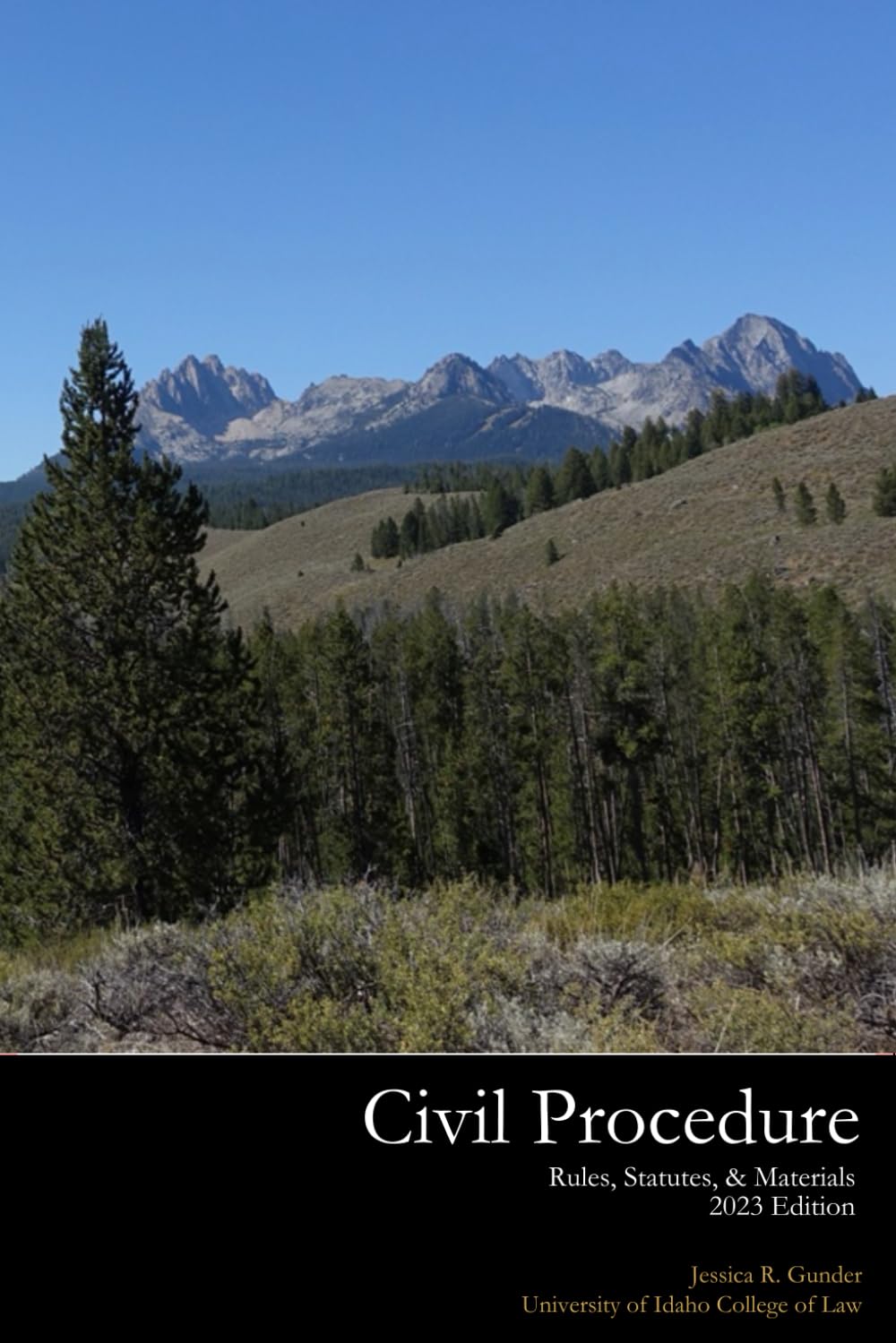 Amazon.com: Civil Procedure Rules, Statutes, & Materials: 9798394136351 ...