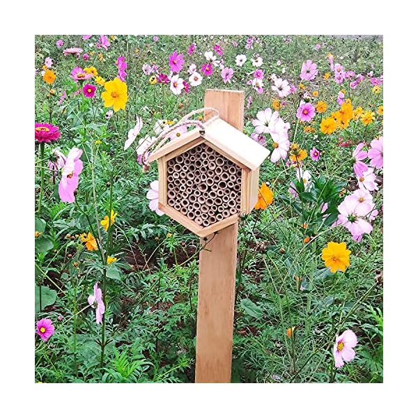 Mason Bee House Native Bee Hive Hexagon Bee House Natural Handmade ...