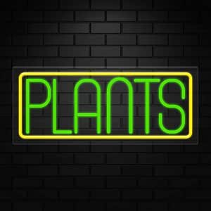 Amazon.com : Plants Neon Sign for Retail Displays | Value priced LED ...