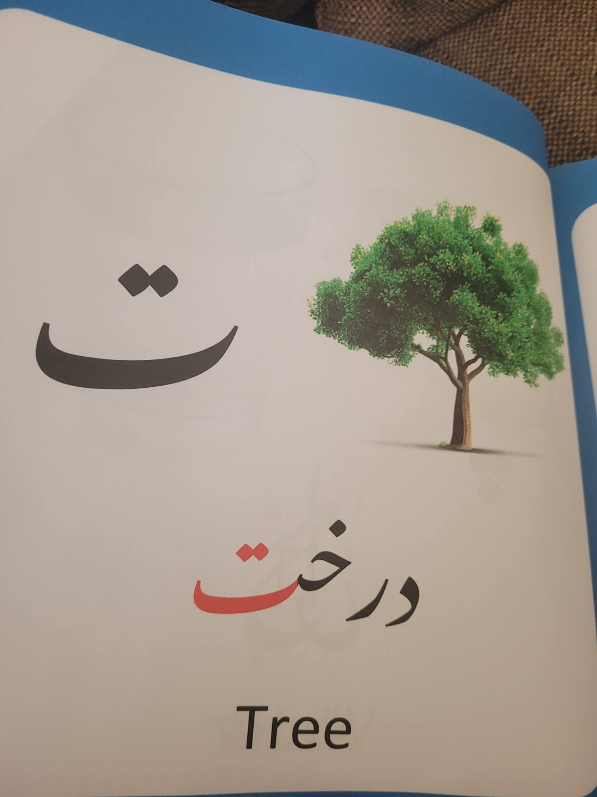 My First Urdu Alphabets Picture Book with English Translations ...